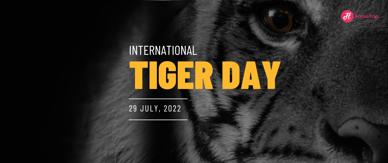 International Tiger Day: Celebrating & Protecting Tigers | Top 5 Tiger Reserves